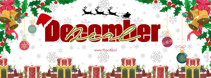 December deal 2025 🎄 20% korting | Thacito Web & Data Solutions